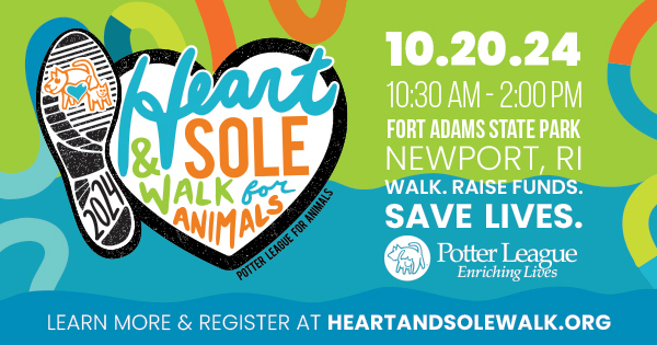 Fundraising - Heart & Sole Walk for Animals 2024